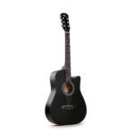 Intern INT-38C Acoustic Guitar Kit - Guitar Hub